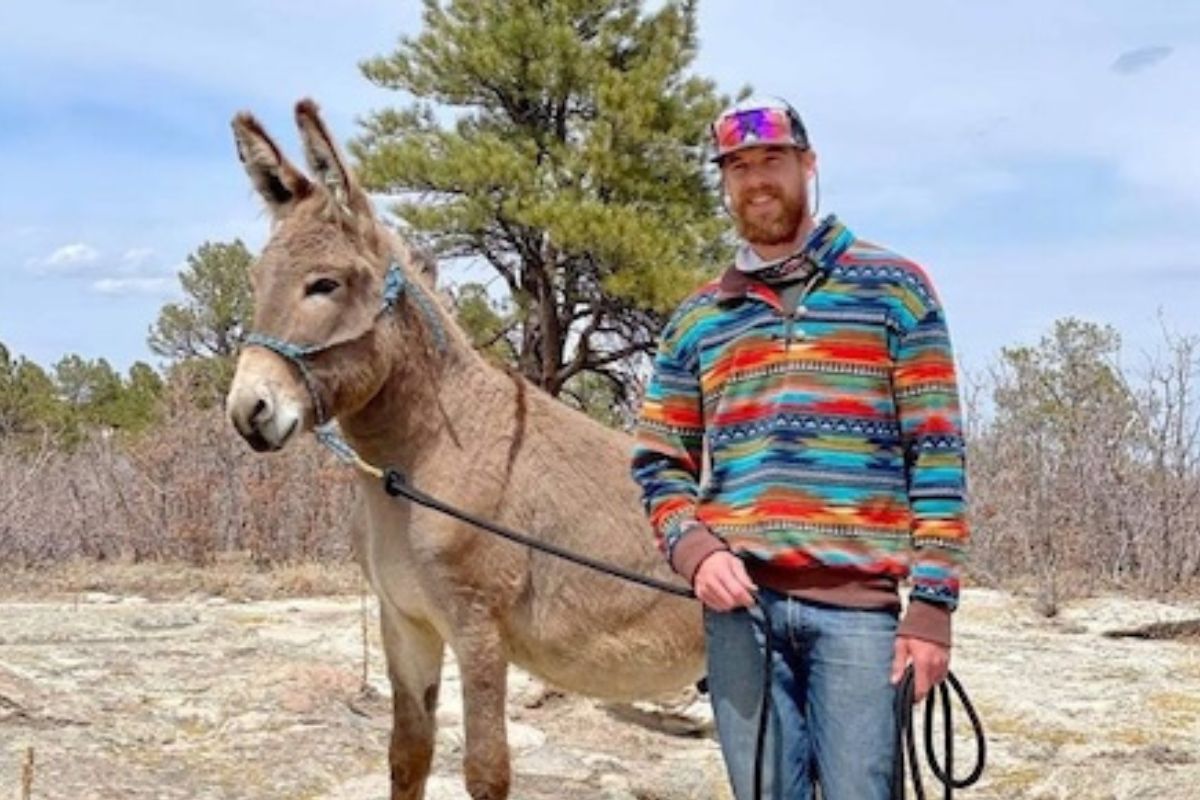 Lecture will explore New Mexico's burro heritage From mining camps to ...
